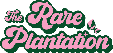 The Rare Plantation Nz - Rare Exotic Plants at Affordable Prices